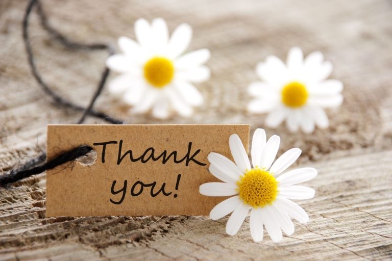 express-your-gratitude-with-these-baby-gift-thank-you-wording-examples-bespokebabyshower